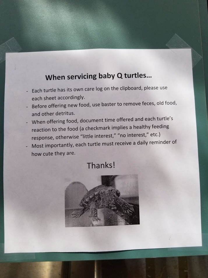 3 Parks: 1 Partnership Part Four – Desert Diaries