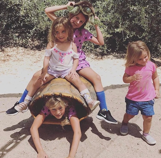 Top 7 Kid Exhibits at the Desert Museum (as told by kids!) – Desert Diaries