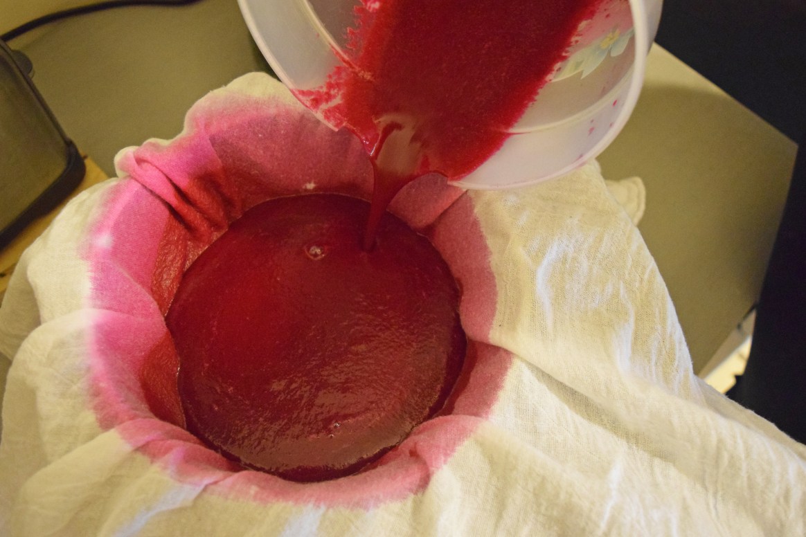 Let’s Get to the Fruit of the Matter: Prickly Pear Harvesting 101 ...