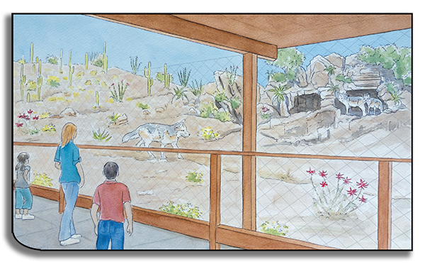 Mexican Gray Wolf Recovery: A Binational Effort – Desert Diaries