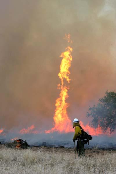 Wildfire Smoke and Our Health – Desert Diaries