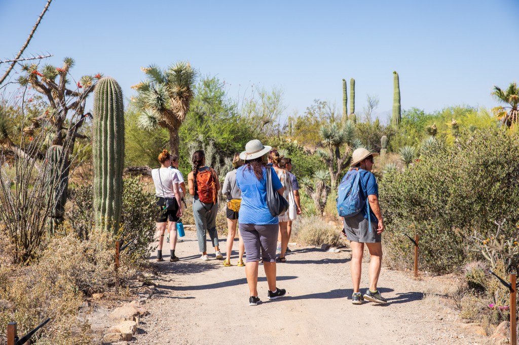 Community, Collaboration, and Conservation at the Desert Museum ...