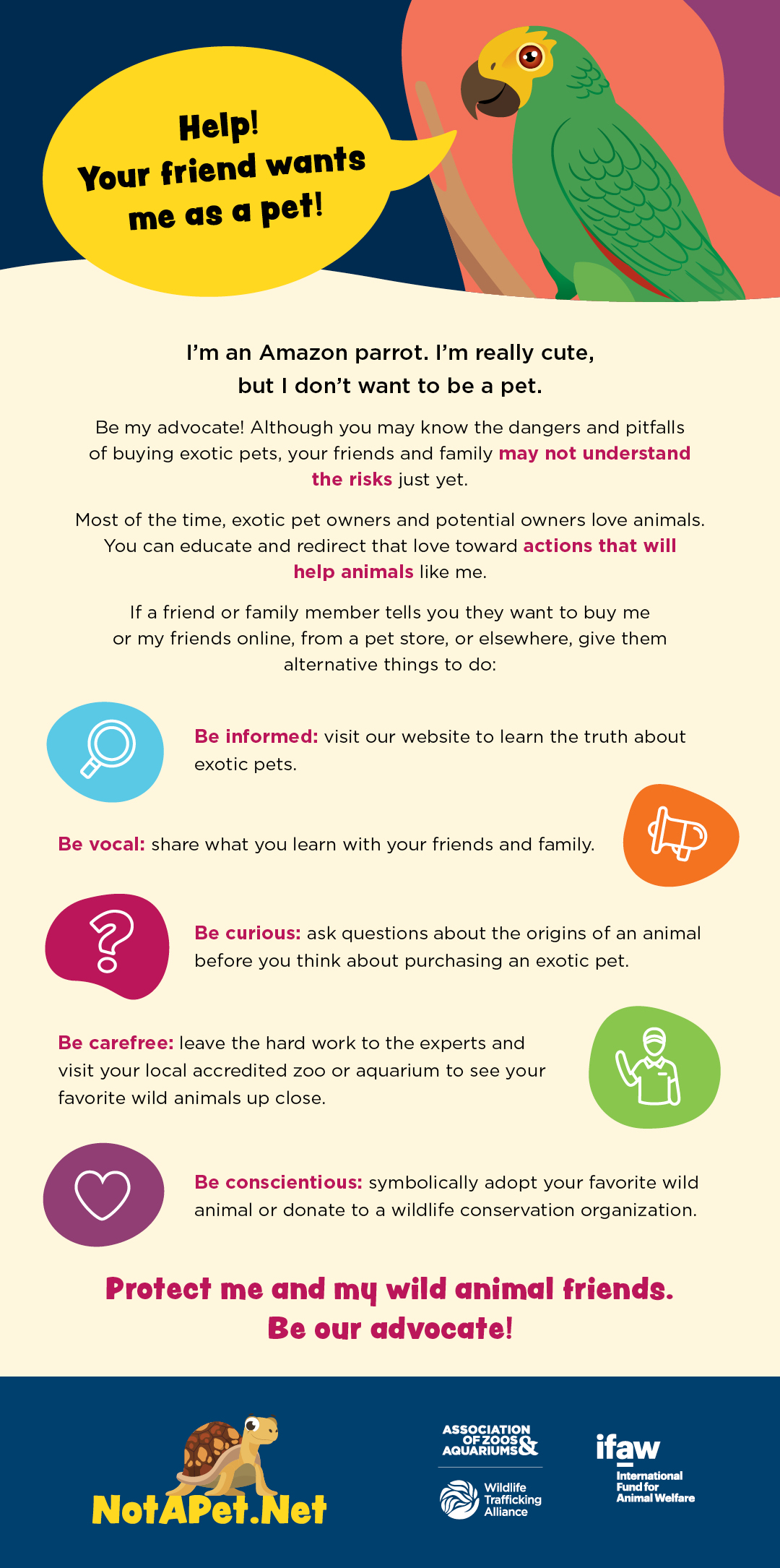 Not a Pet – Desert Diaries