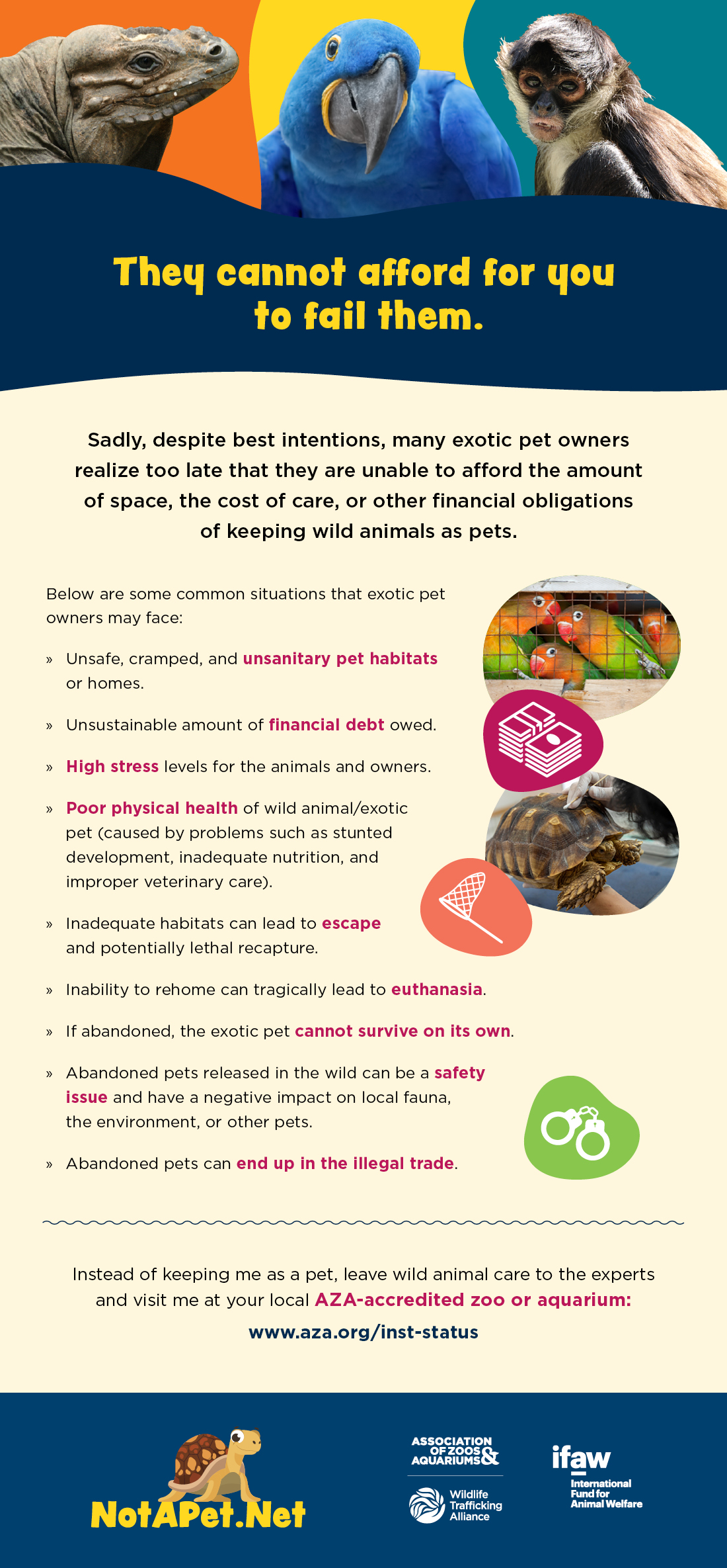 Not a Pet – Desert Diaries