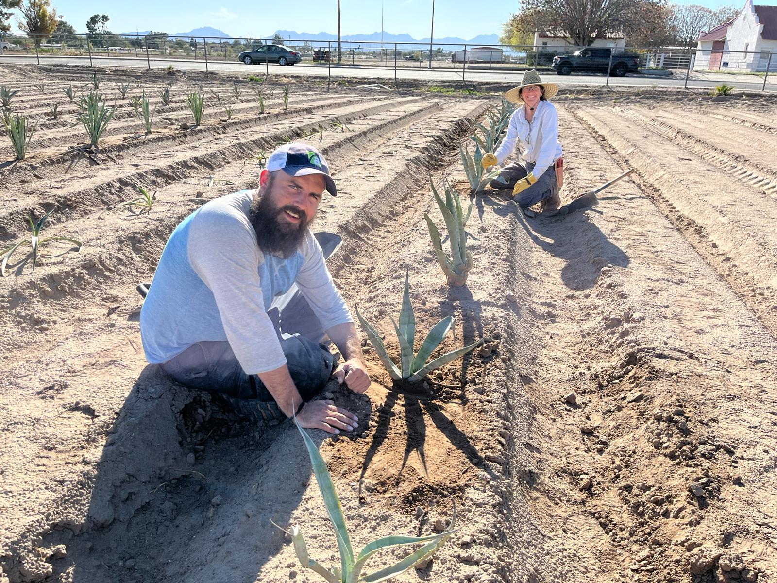 The Many Colors of Desert Museum Conservation – Desert Diaries