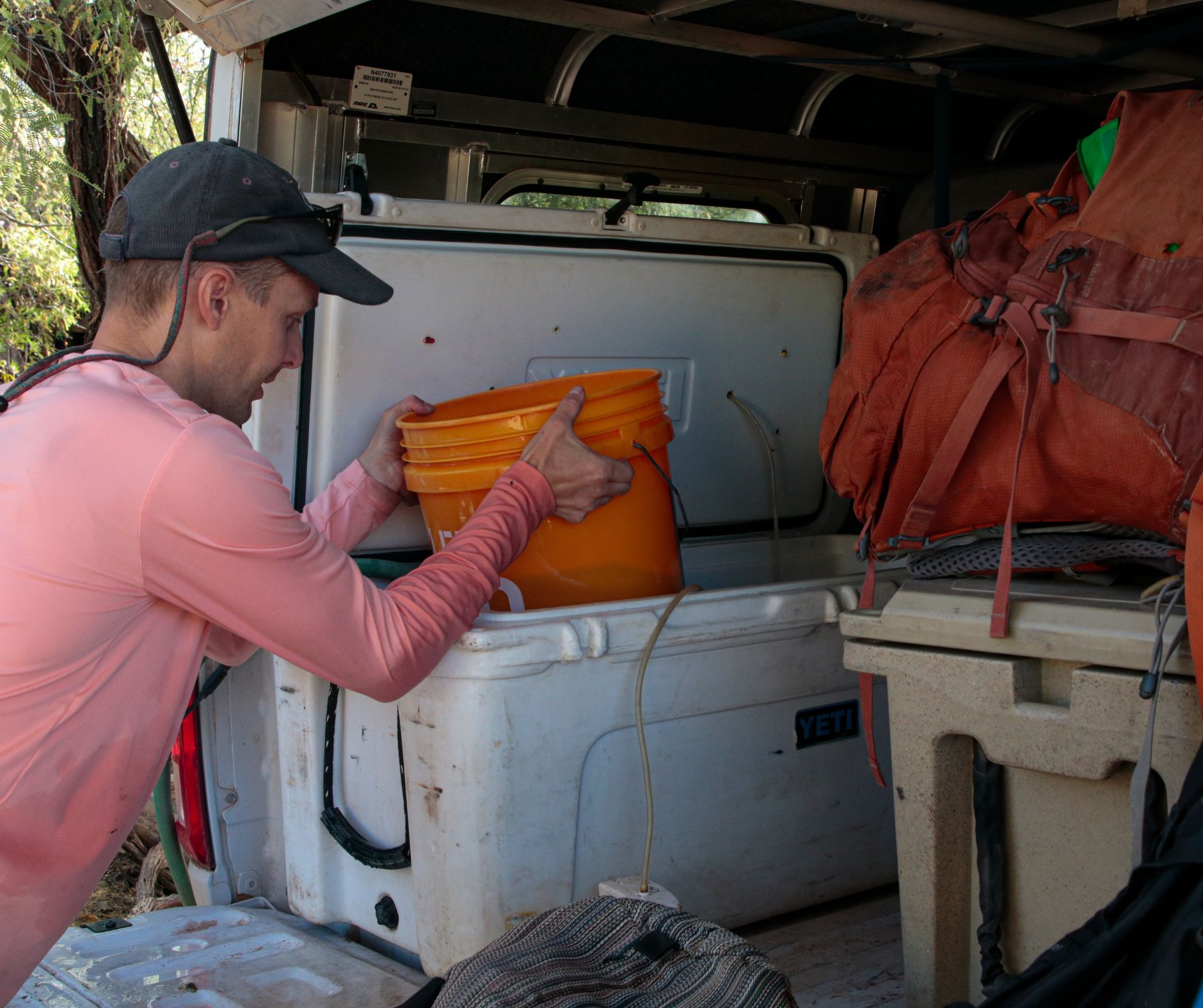 Rehoming Sabino Canyon’s Native Fish – Desert Diaries
