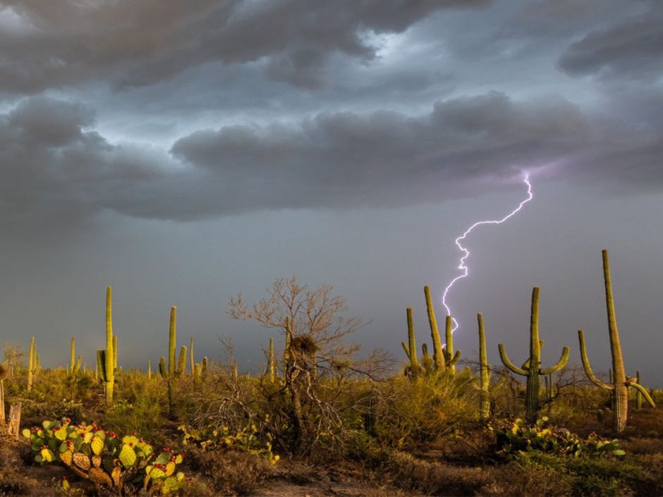 Horizontal Images – Desert Diaries